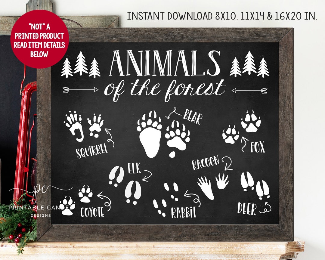 Animals of the Forest Printable Sign Nursery Decor Woodland Party One ...