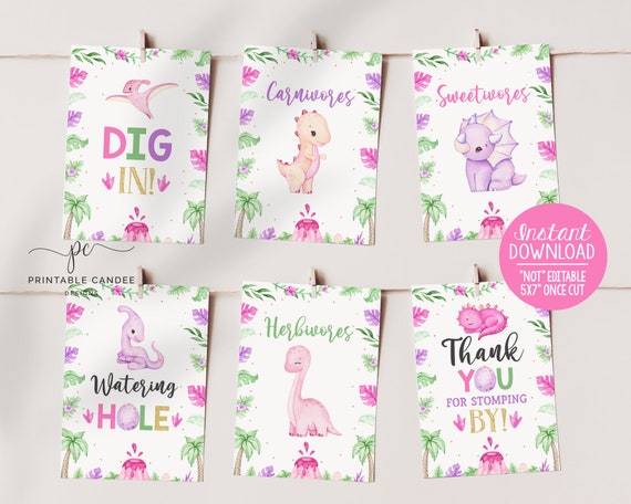 Dinosaur Party Signs Baby Girl Dino Food Sign Birthday Party - Etsy
