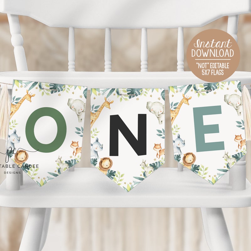 Wild One Banner - Etsy