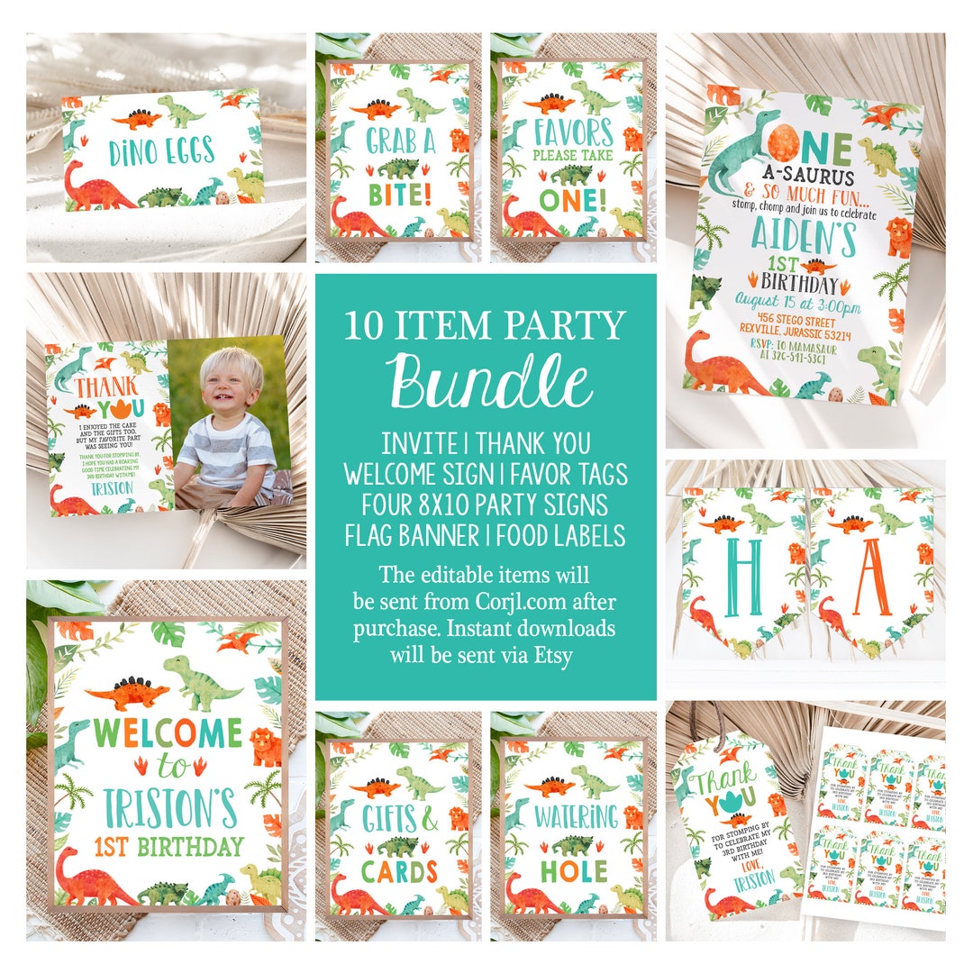 Editable Boy Dinosaur 1st Party Bundle White Dino Theme Birthday Decor ...