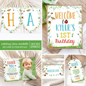 Bug 1st Birthday Invitation Bug Birthday Party Bug Invite Insect ...