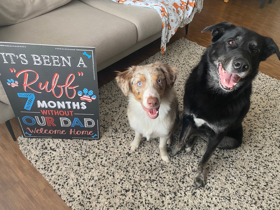 Welcome Home Dog Sign Dad Pet Homecoming Back From Deployment | Etsy