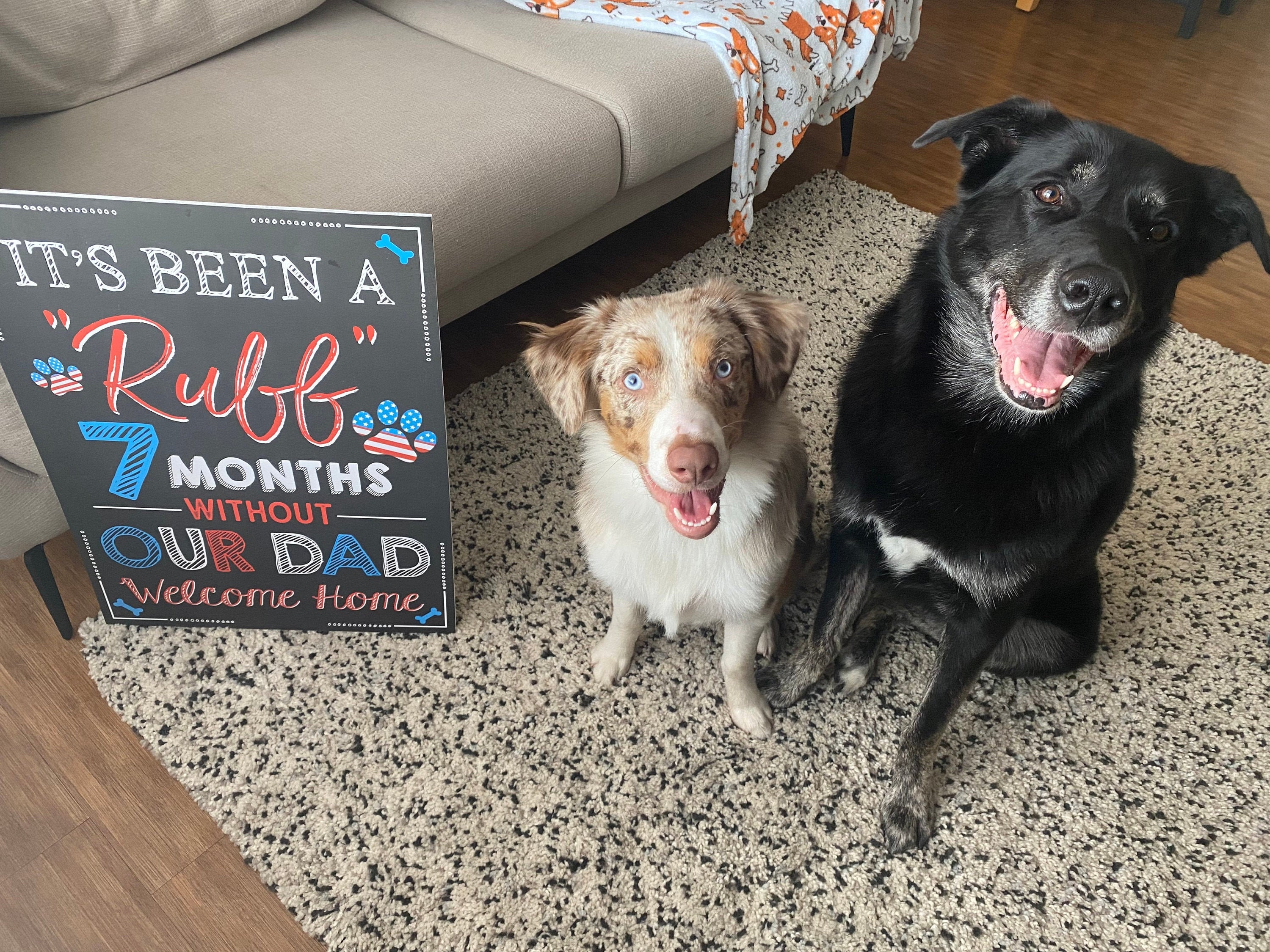 Welcome Home Dog Sign Dad Pet Homecoming Back From Deployment - Etsy