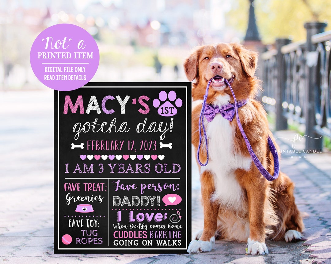 Dog Gotcha Day Sign Puppy 1 Year Poster Pet Birthday Stats Sign Pink ...