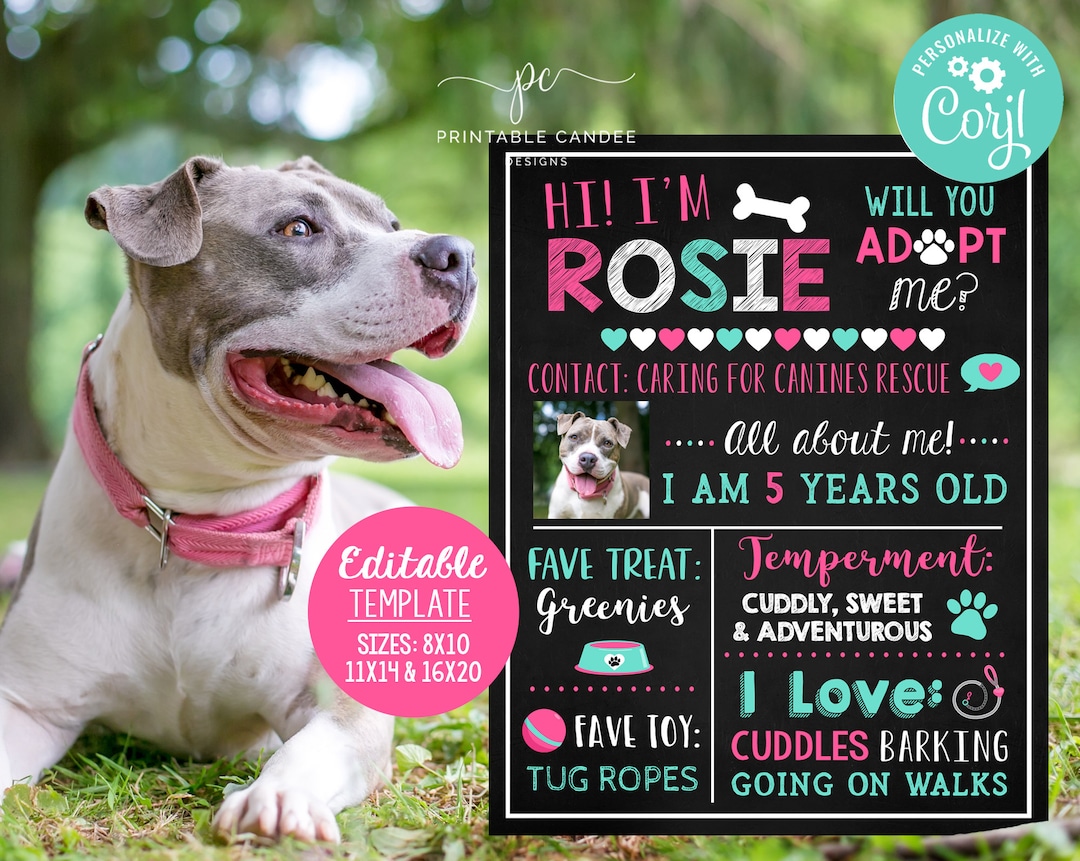 Editable Dog Recue Adopt Me Sign Puppy Shelter Pink Printable Pet Stats ...