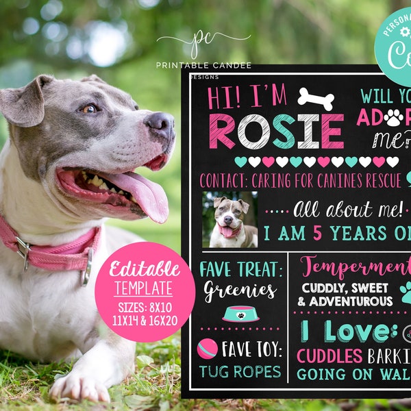 Adopt Me Pets - Etsy