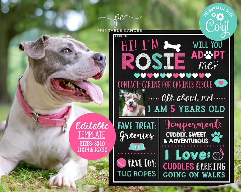Editable Dog Recue Adopt Me Sign Puppy Shelter Pink Printable Pet Stats ...