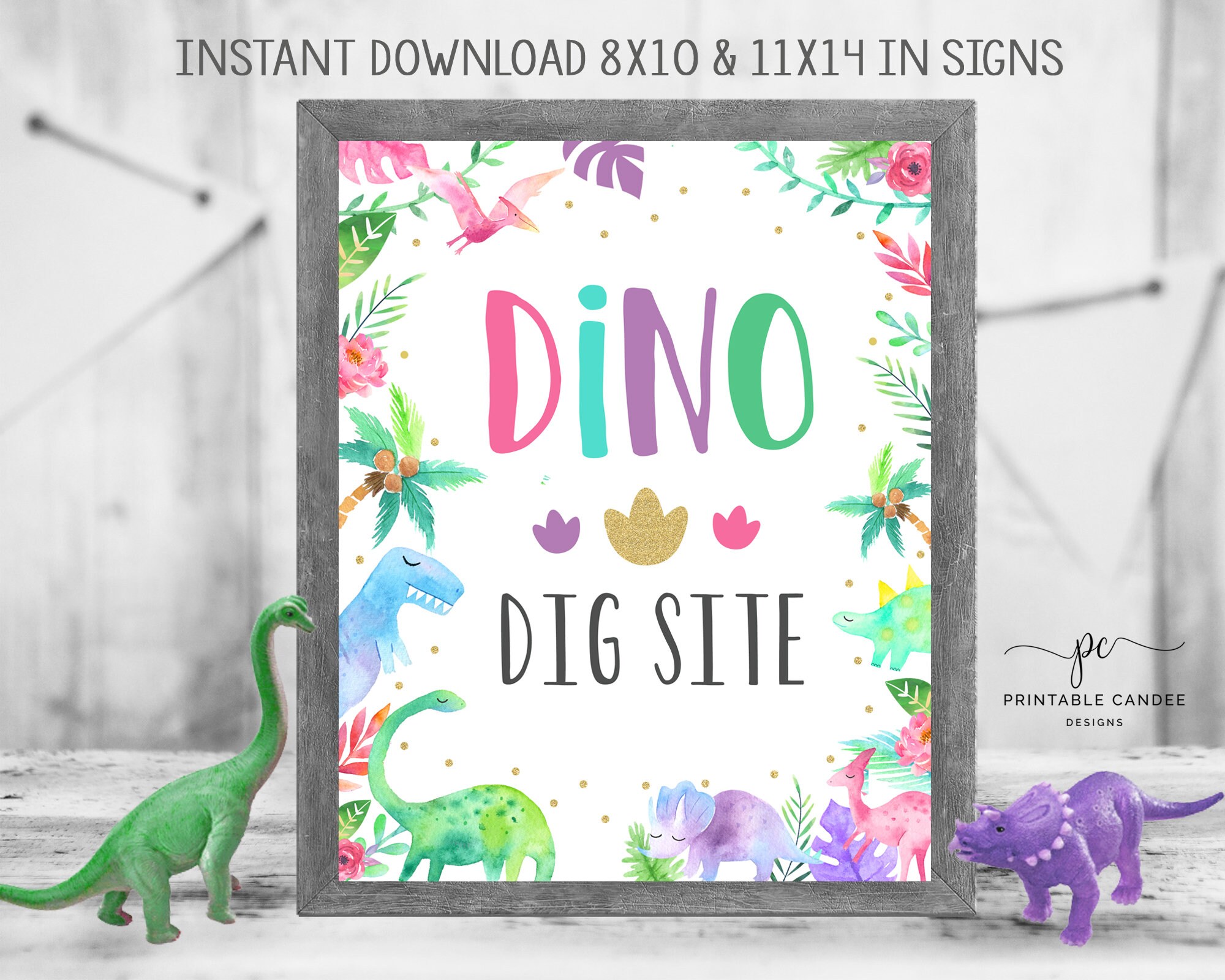 Dinosaur Dig Site sign Girl Dino Birthday Table Candy Bar | Etsy