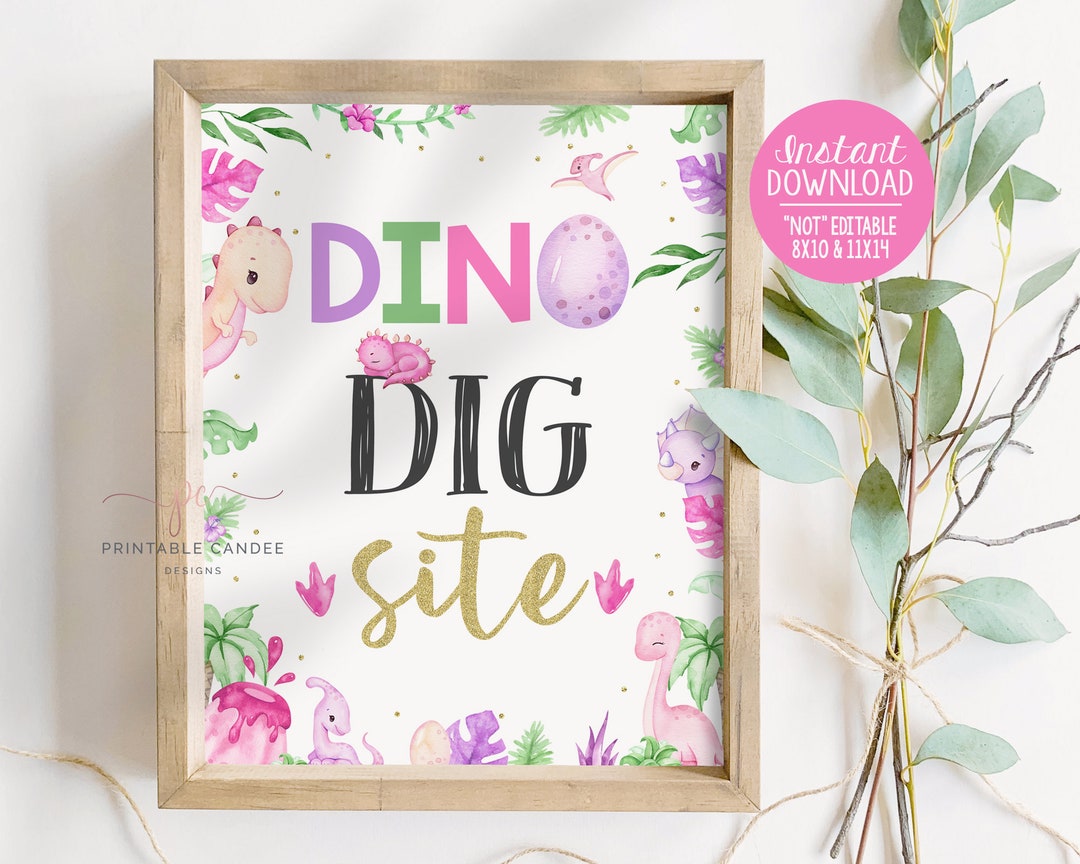 Dinosaur Party Sign Girl Dino Birthday Party Theme Dino Dig Site Sign ...