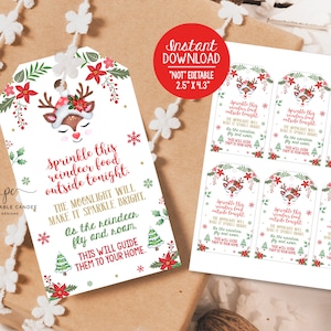 Reindeer Food Favor Tags Printable Girl Reindeer Birthday Party Gift ...