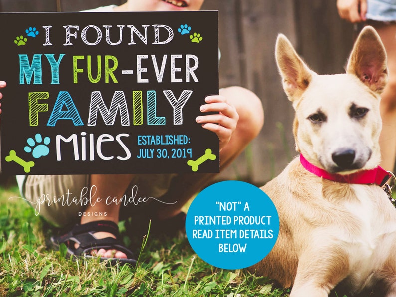 Pet Puppy Adoption Announcement Chalkboard Sign Dog Cat Kitten - Etsy