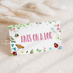 Editable Bug Birthday Food Tents Girl Bugs Party Decor Bee Ladybug Food ...