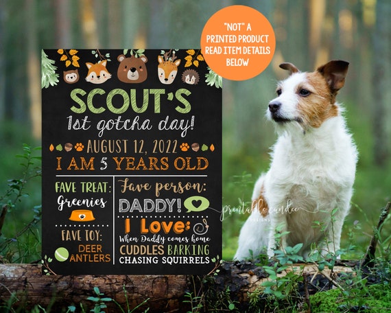 Dog Gotcha Day Sign Puppy 1 Year Poster Pet Woodland Birthday | Etsy