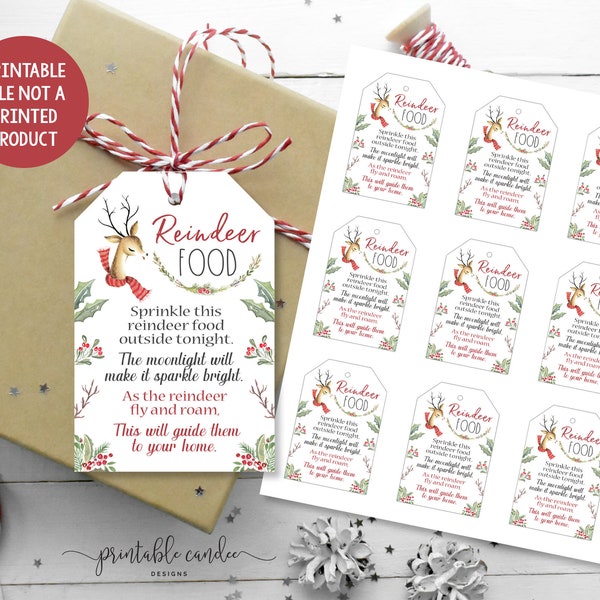Reindeer Gift Tag - 60+ Gift Ideas for 2024