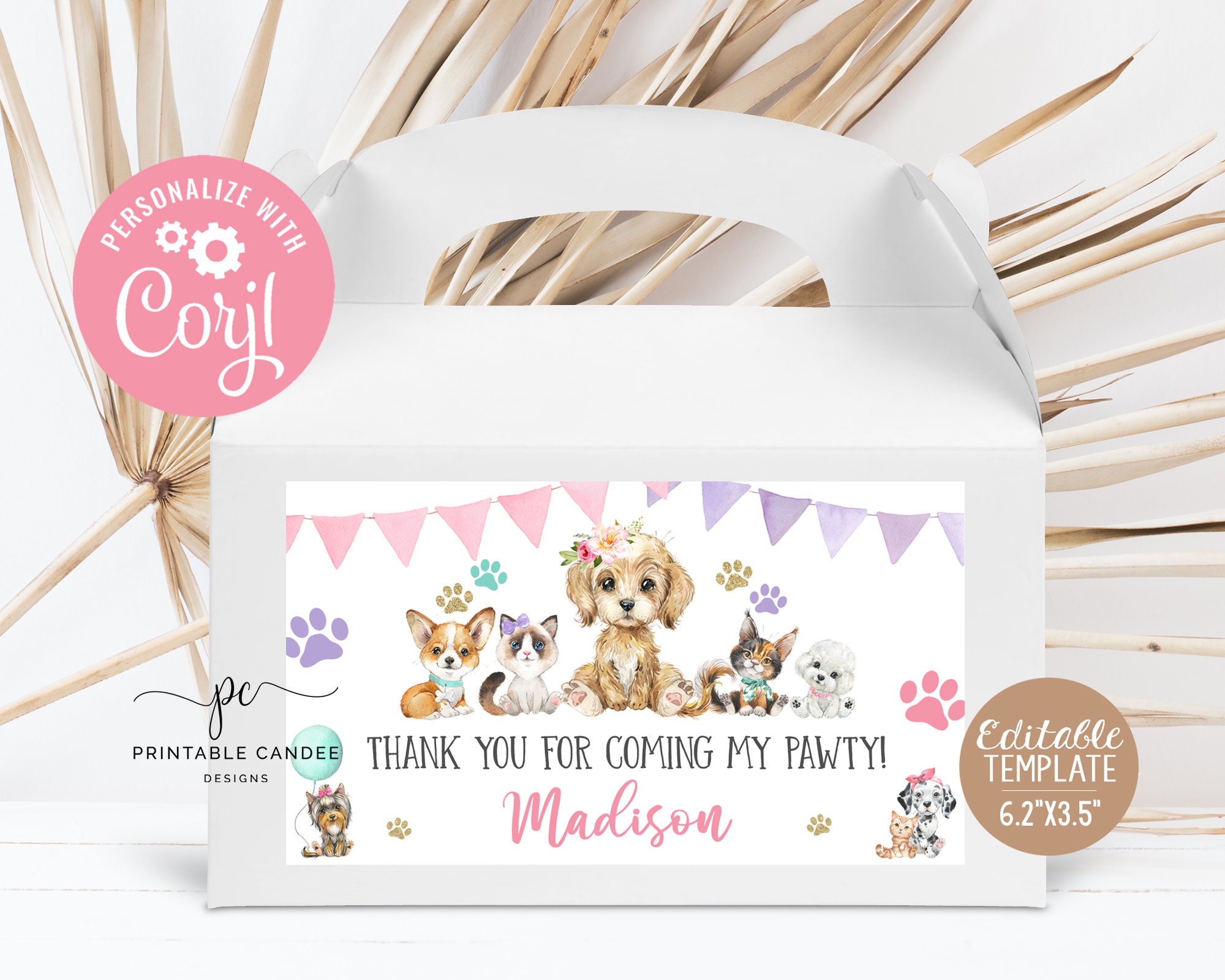 Editable Girl Pet Carrier Label for Gable Box Puppy Kitten Cat Birthday ...