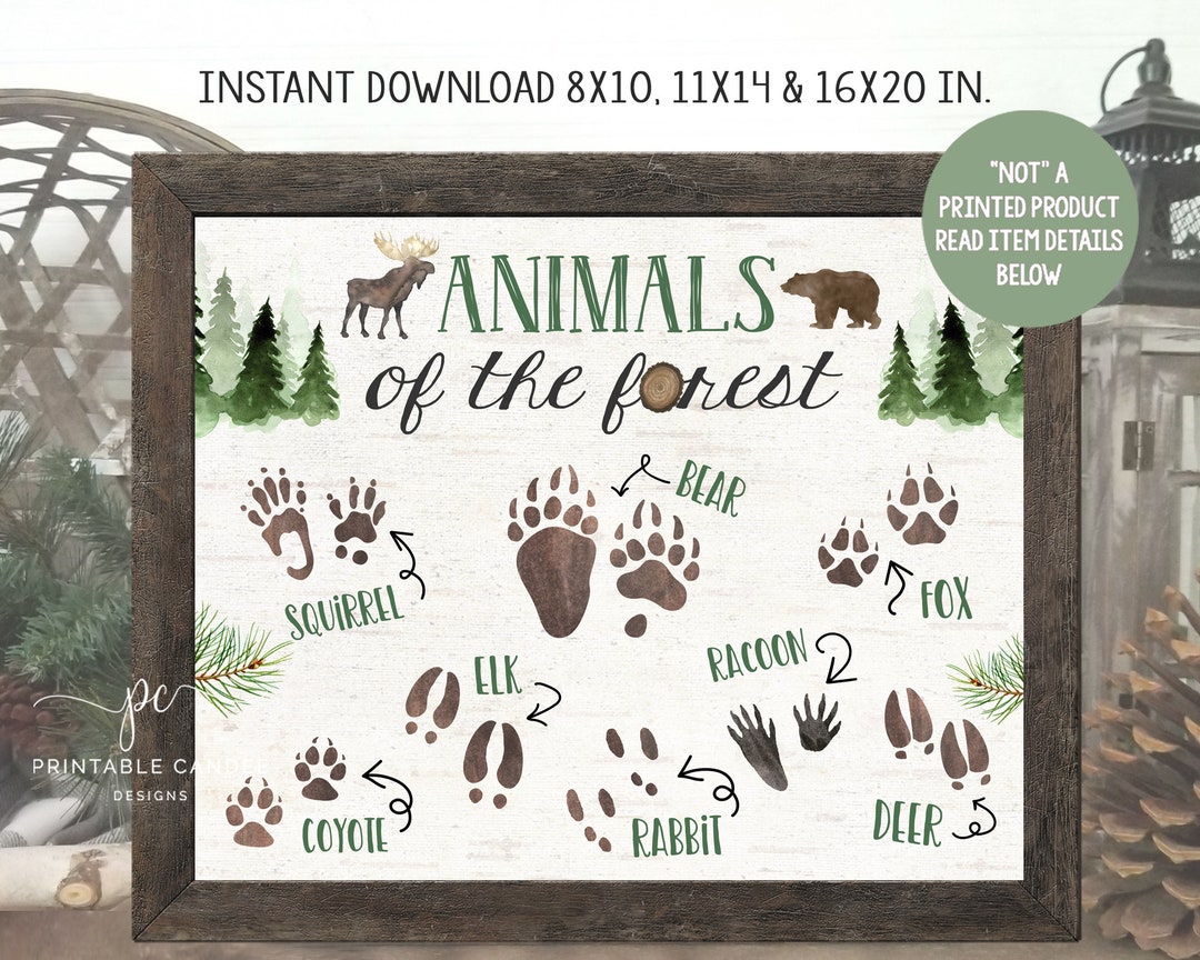 Animals of the Forest Printable Sign Nursery Decor Woodland Party One ...