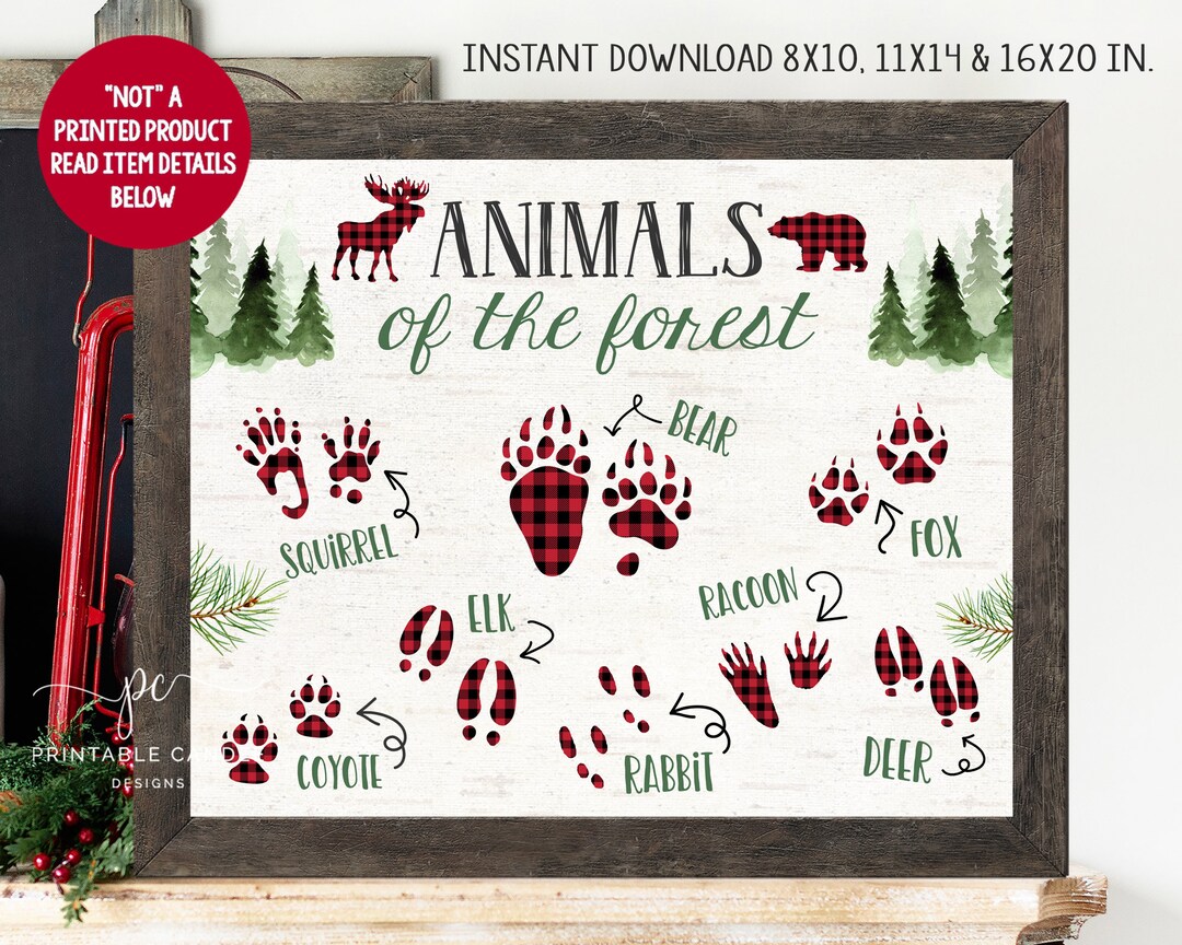 Animals of the Forest Printable Sign Nursery Decor Woodland Party One ...