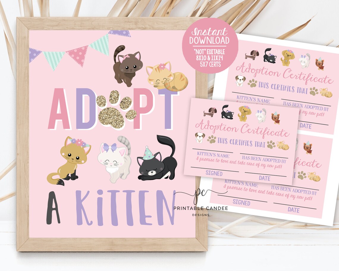 Kitten Adoption Party Game Cat Certificate Kitty Birthday - Etsy