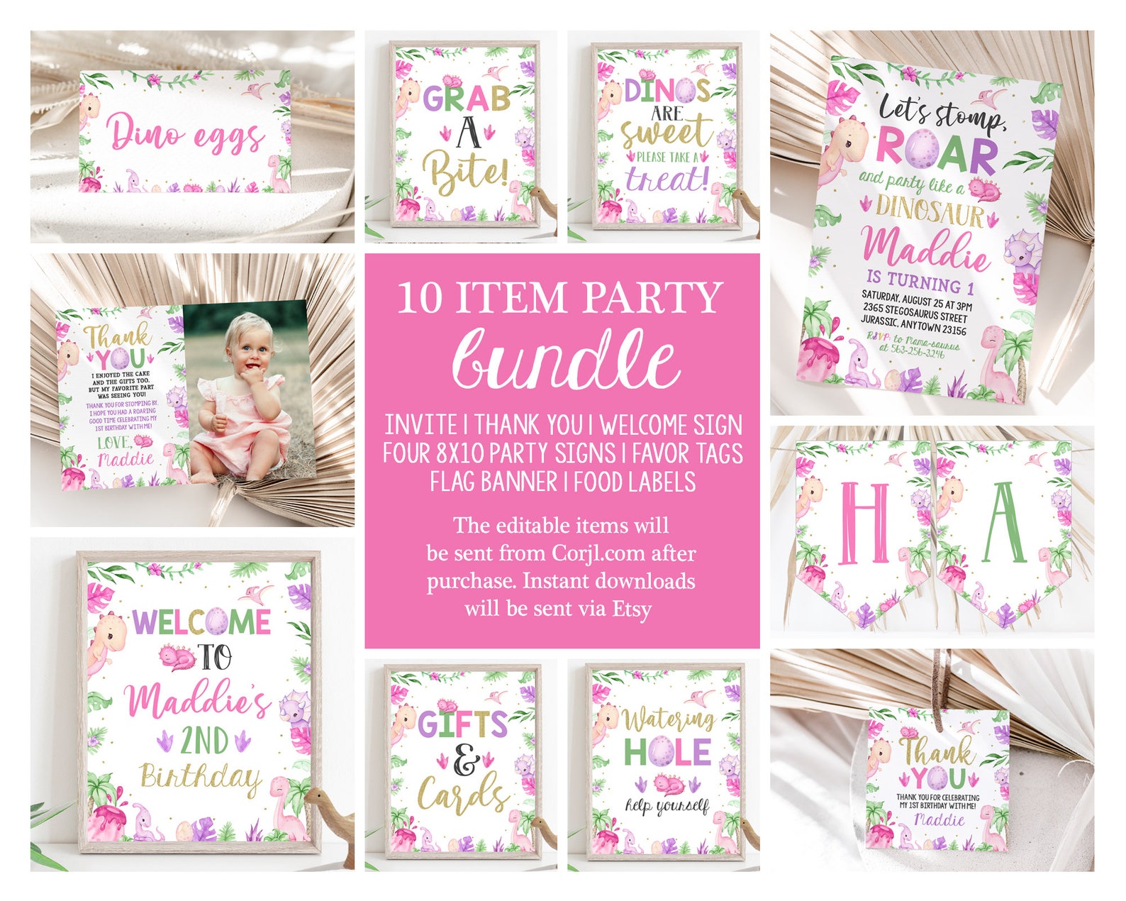 Editable Girl Dinosaur Party Bundle Baby Dino Theme Birthday - Etsy