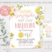 Lemonade Birthday Invitation Template Pink Lemonade Sunshine Fun ...