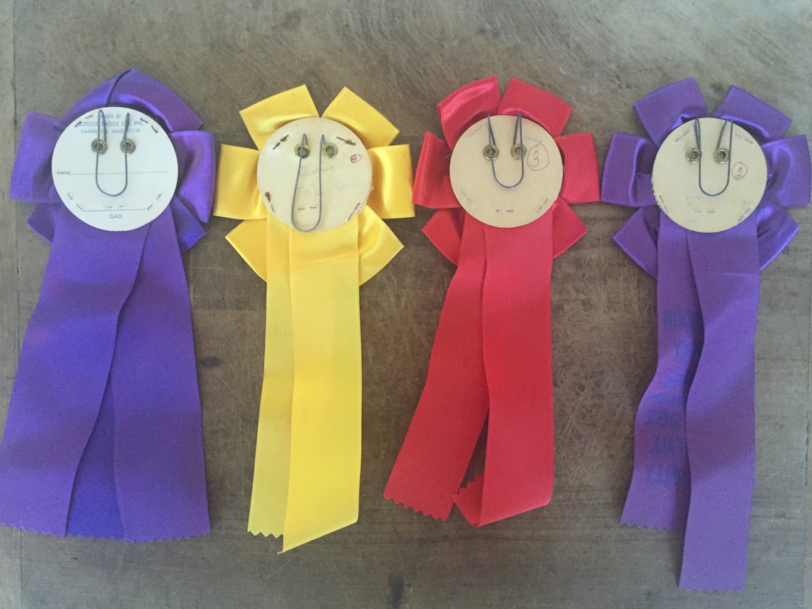 Horse Show Ribbon / Vintage Horse Ribbon / Equestrian Award Ribbon - Etsy
