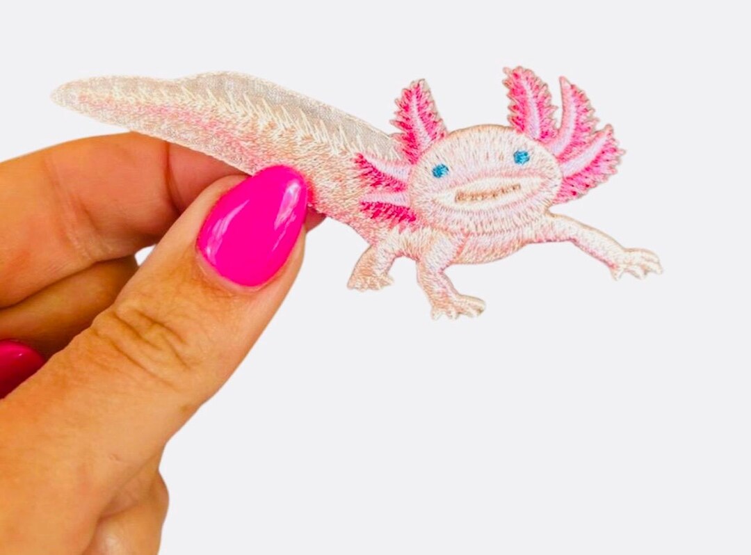Reptile Patches, Axolotl Patch, Salamander Iron on Patch, Lizard Iron on Patch, Embroidered ...