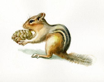 Chipmunk Art Print | Etsy
