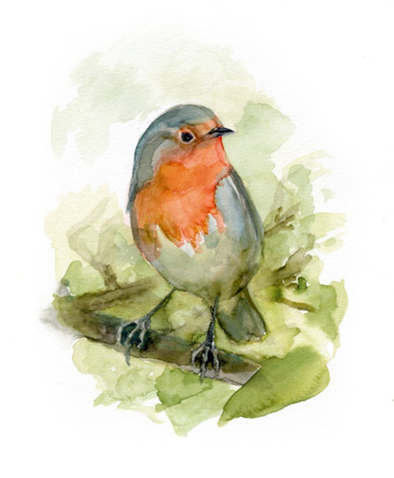 3 Red Robin Prints 5x7 Fine Art Giclee Print of Original - Etsy