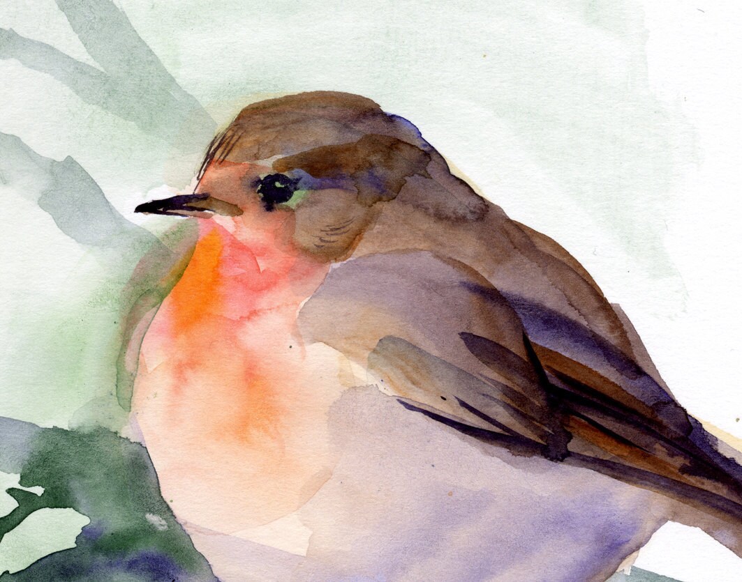 Red Robin Print Robin Painting Bird Giclee Print Watercolor - Etsy