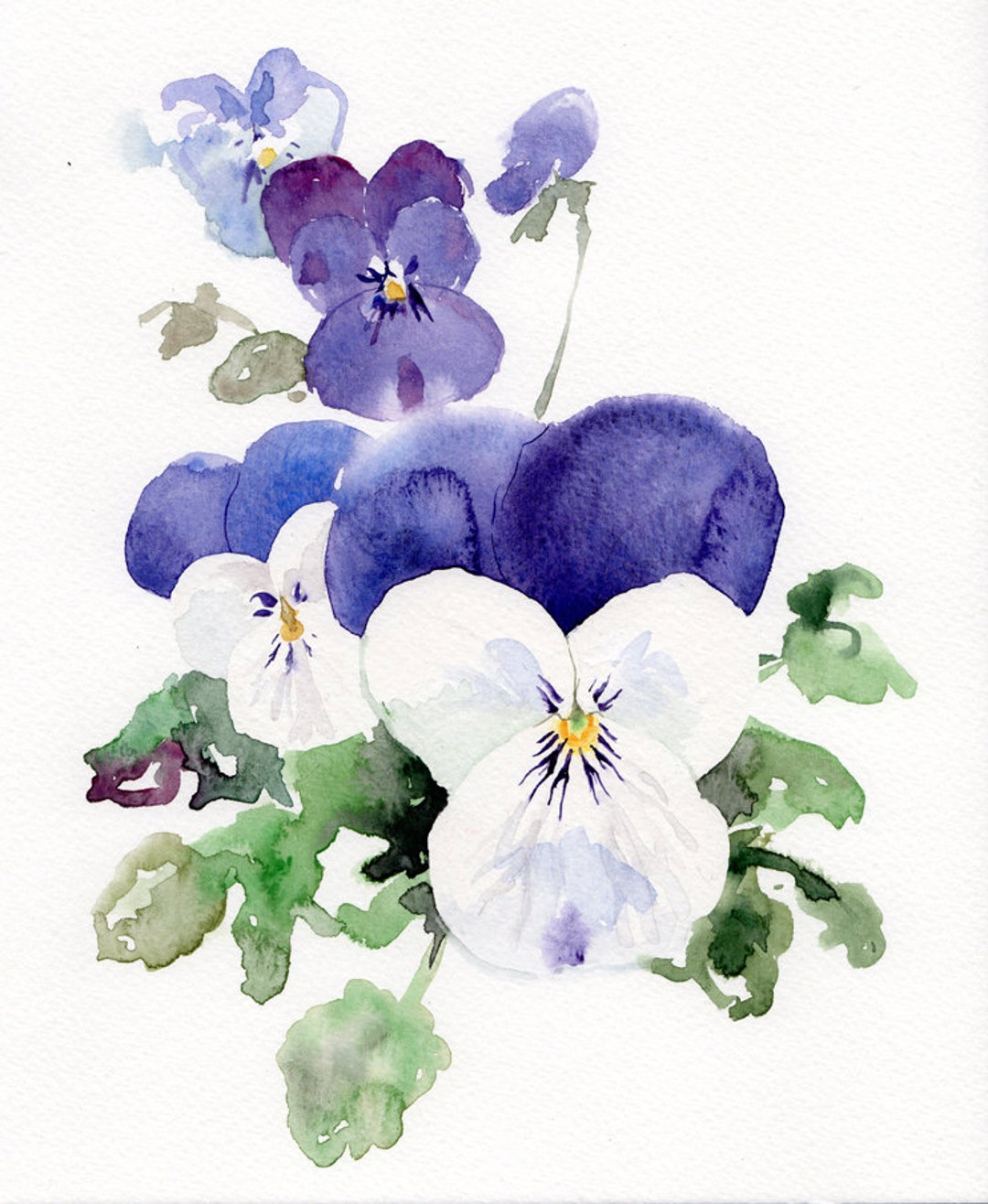 Pansies Watercolor Print FLOWERS GICLEE Violets Print - Etsy