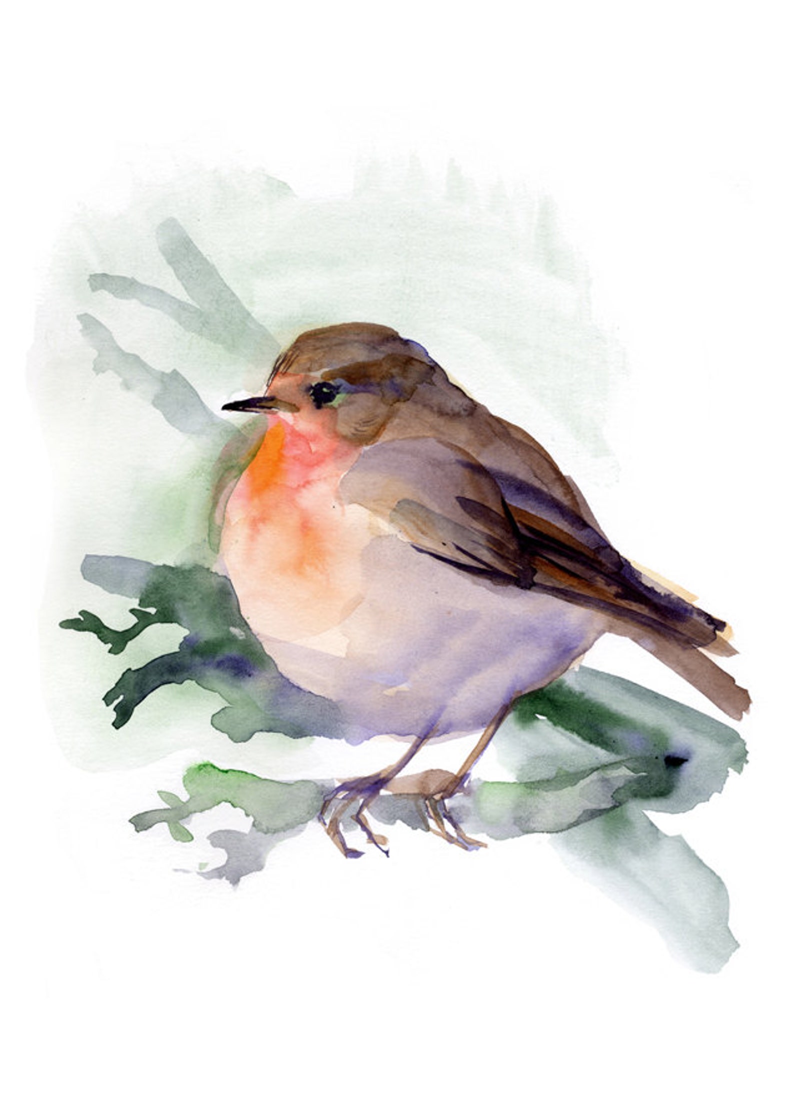 3 Red Robin Prints 5x7 Fine Art Giclee Print of Original - Etsy