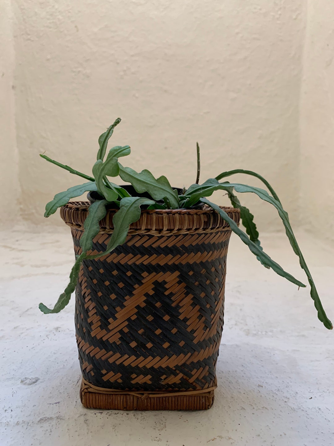 Patterned Basket - Etsy