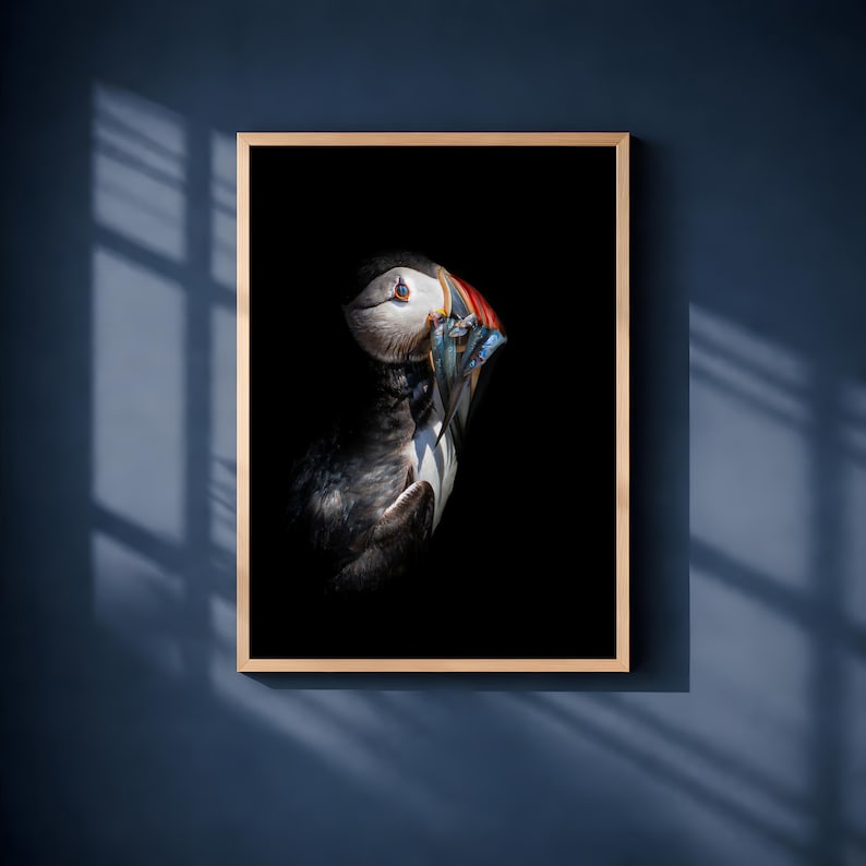 Coastal Print | Puffin Photo | Minimalist Wildlife Print | Instant ...