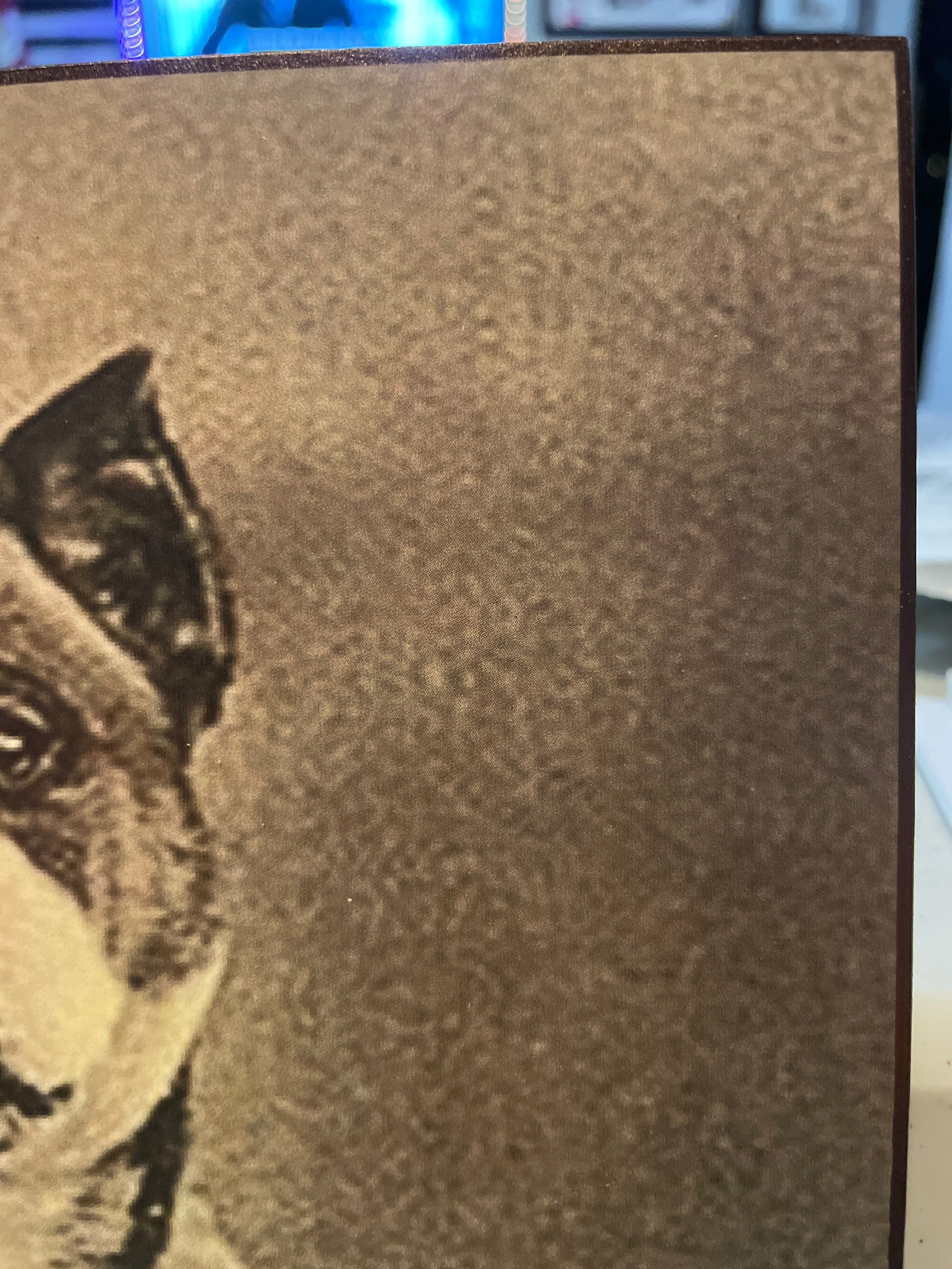 Sgt Stubby Print Decoupaged on Wood - Etsy