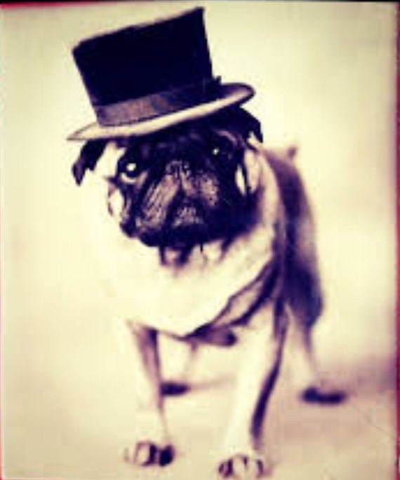 Pug Wearing Top Hat Print Decoupaged on Wood | Etsy