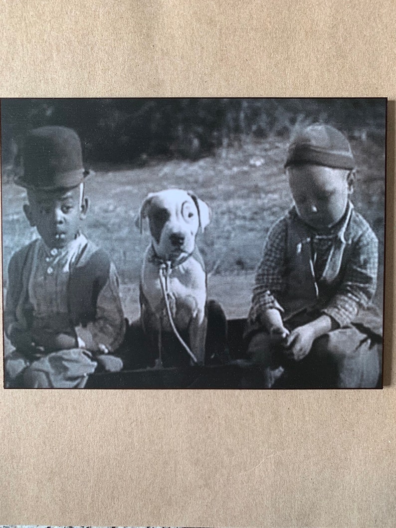 Petey From the Little Rascals Pitbull Print Decoupaged on Wood - Etsy