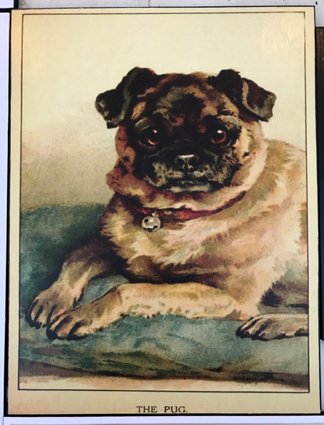Vintage the Pug Print Decoupaged on Wood - Etsy