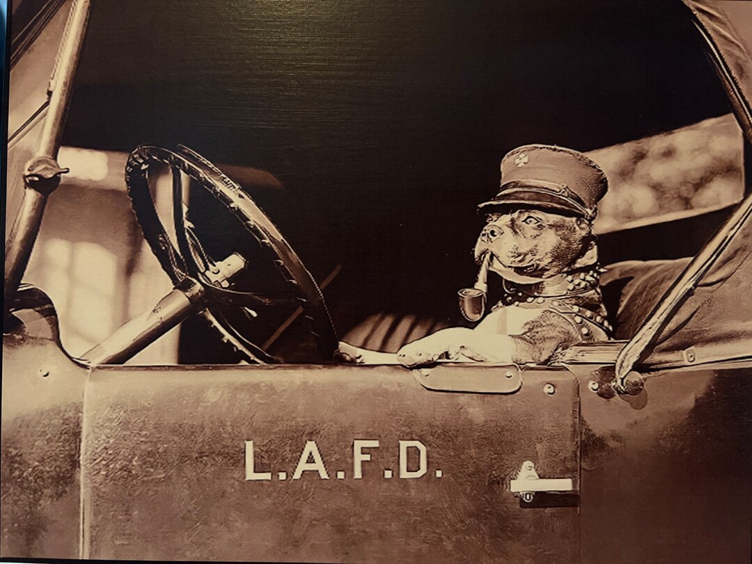 Vintage Boston Terrier Fire Fighter Decoupaged on Wood - Etsy