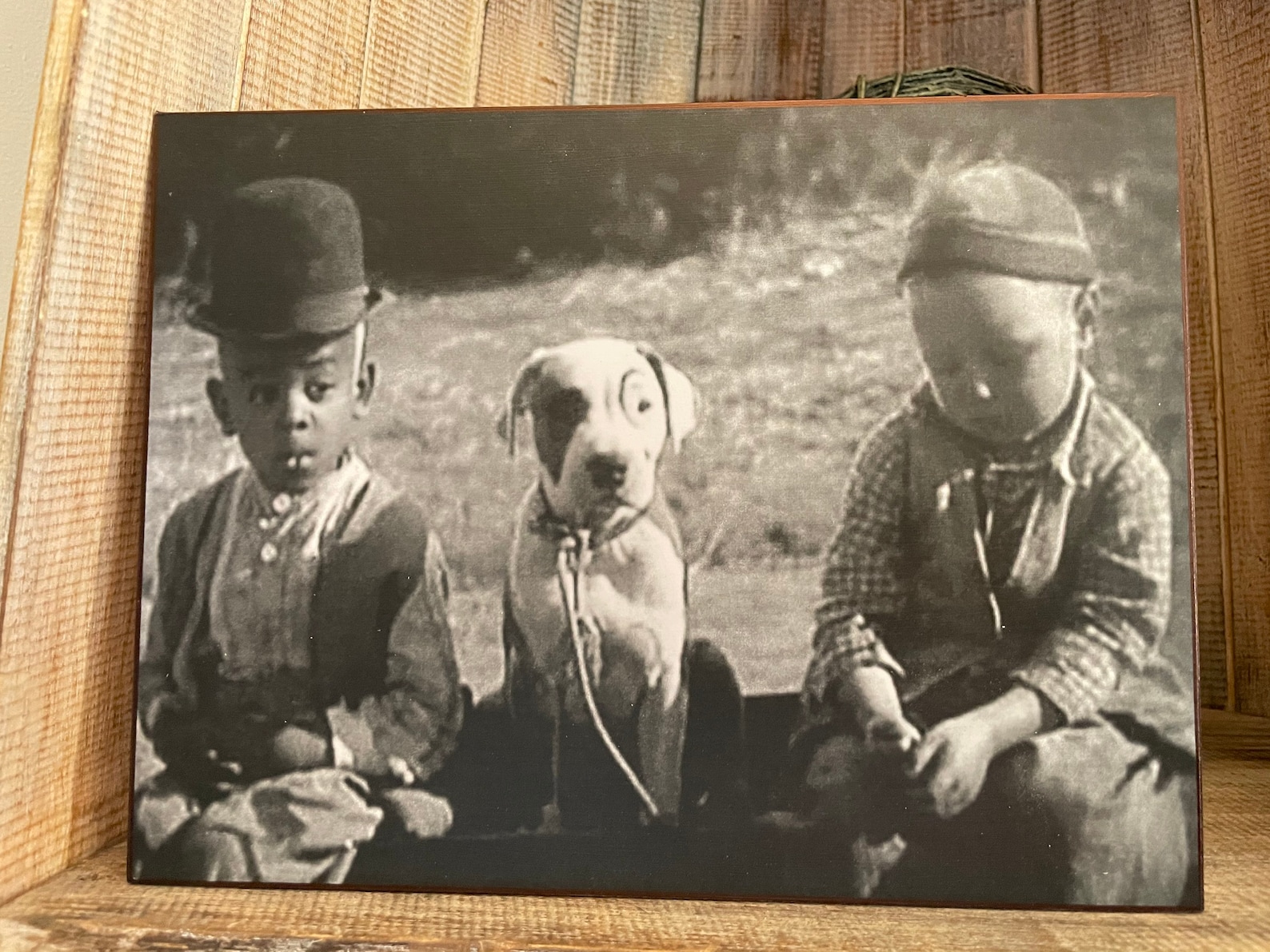 Petey From the Little Rascals Pitbull Print Decoupaged on Wood - Etsy