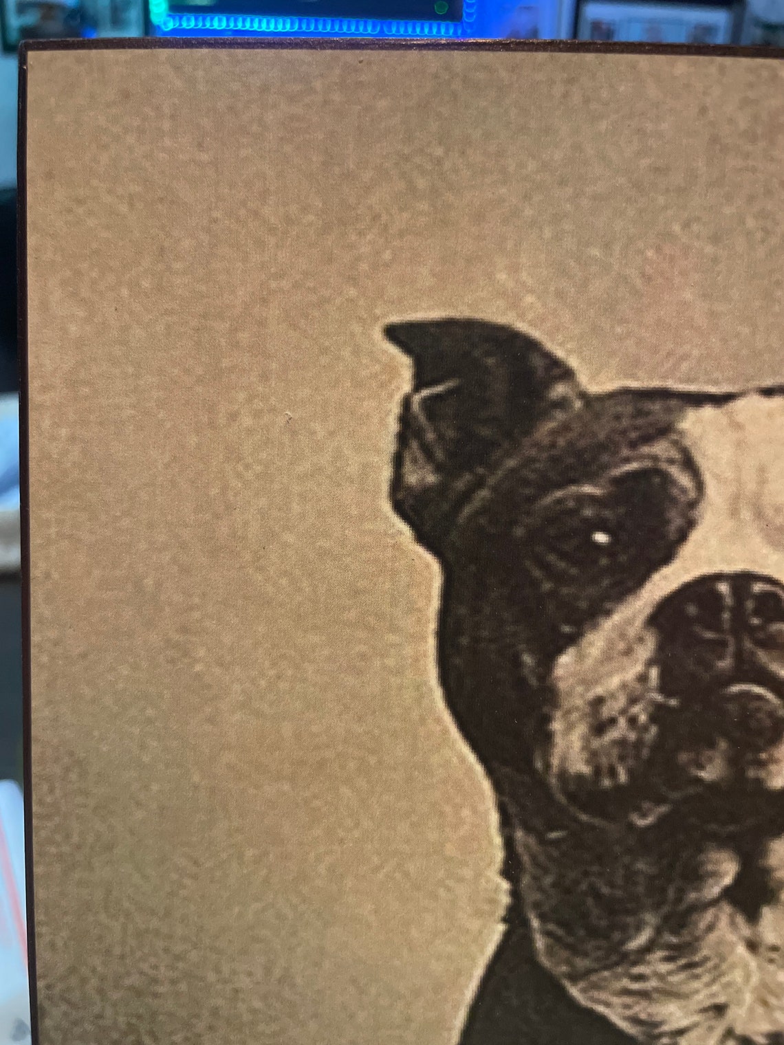 Sgt Stubby Print Decoupaged on Wood - Etsy