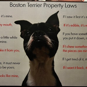 Boston Terrier Property Laws Wooden Decoupage Frame - Etsy