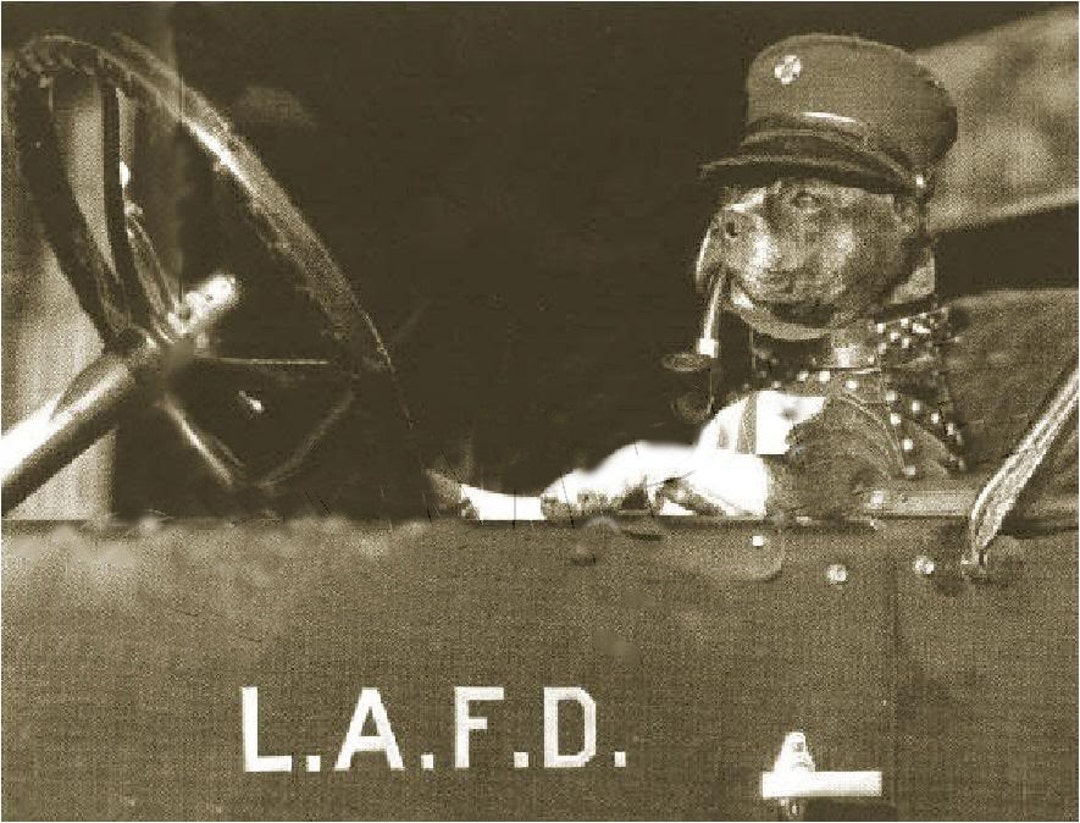 Vintage Boston Terrier Fire Fighter Decoupaged on Wood - Etsy