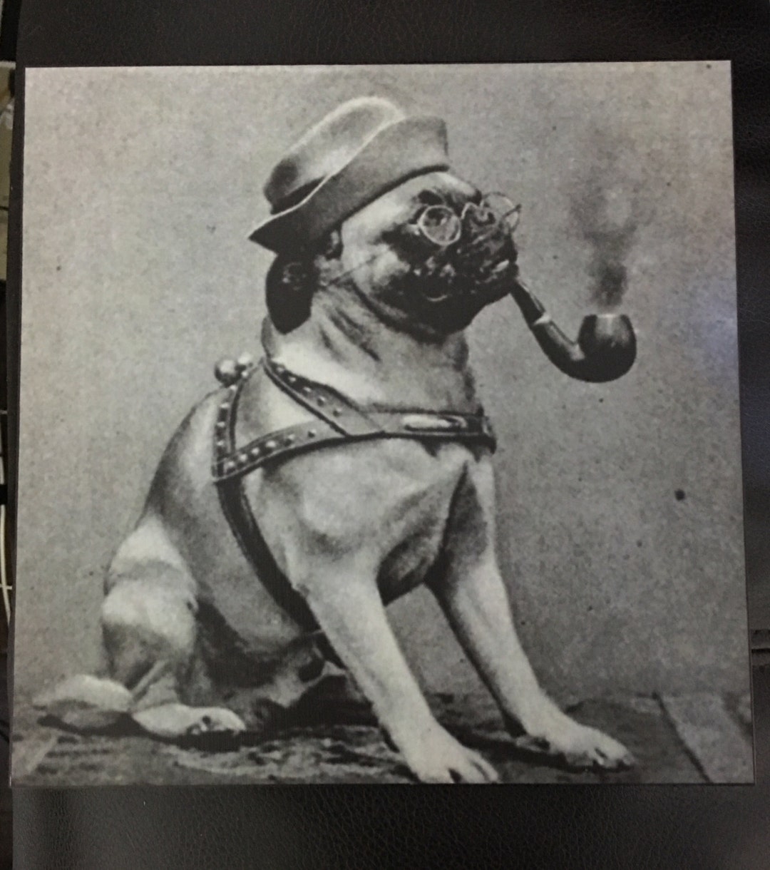 Pug Smoking Pipe Decoupaged on Wood - Etsy