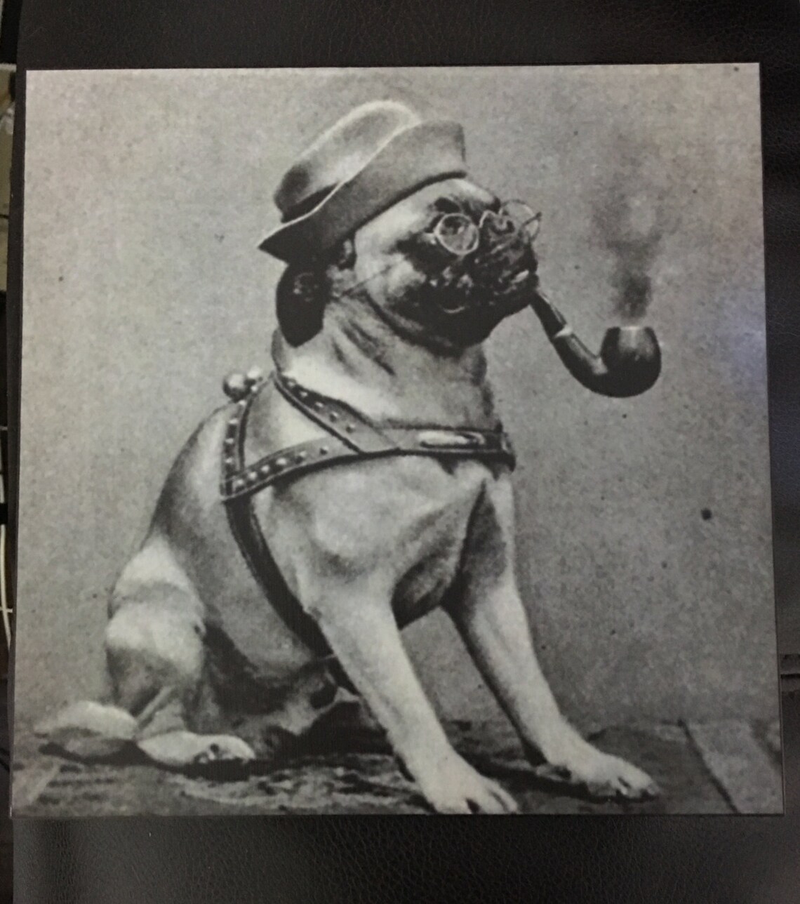 Pug Smoking Pipe Decoupaged on Wood - Etsy