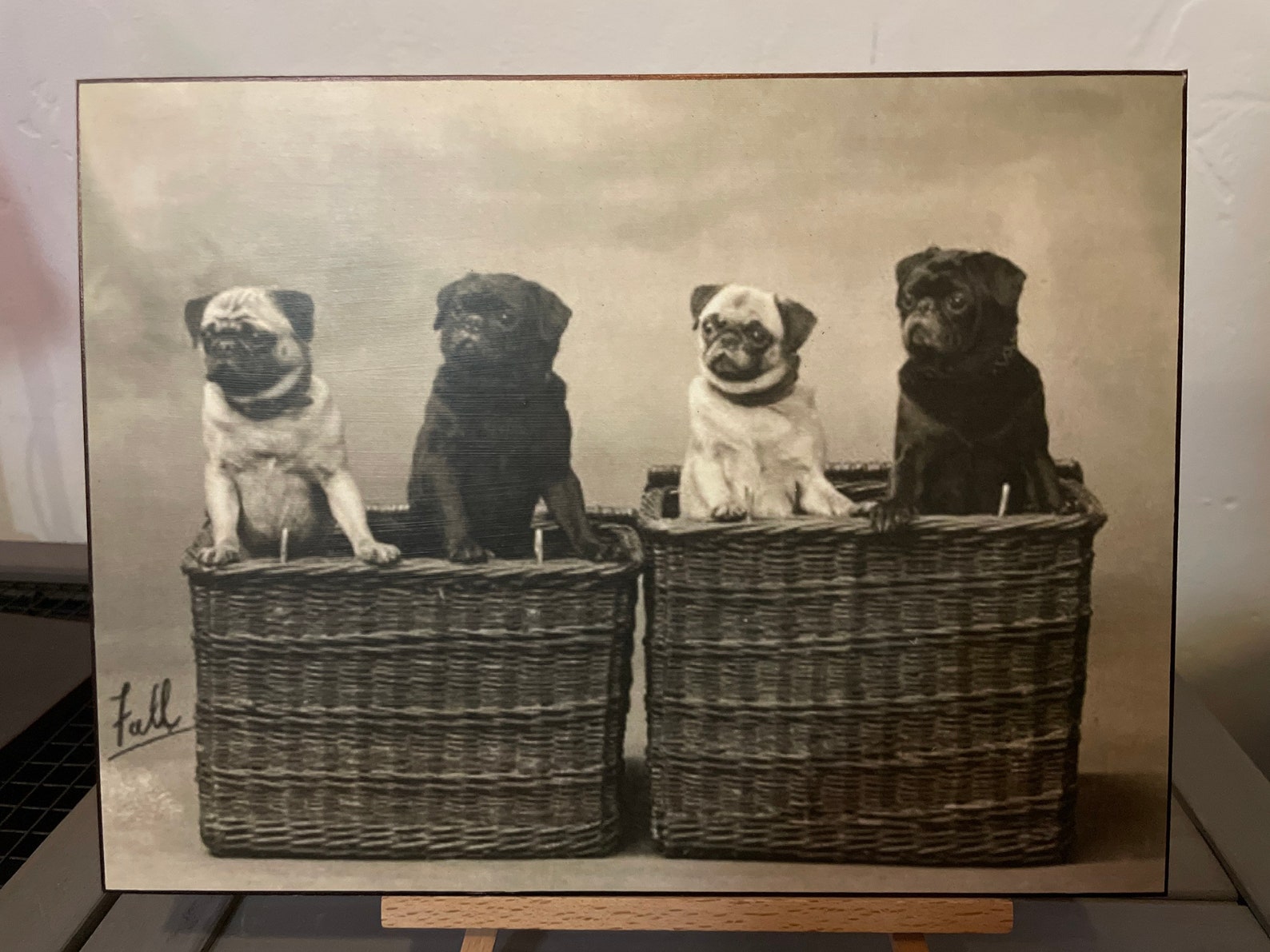 Four Pugs in Baskets Vintage Photo Decoupaged on Wood - Etsy