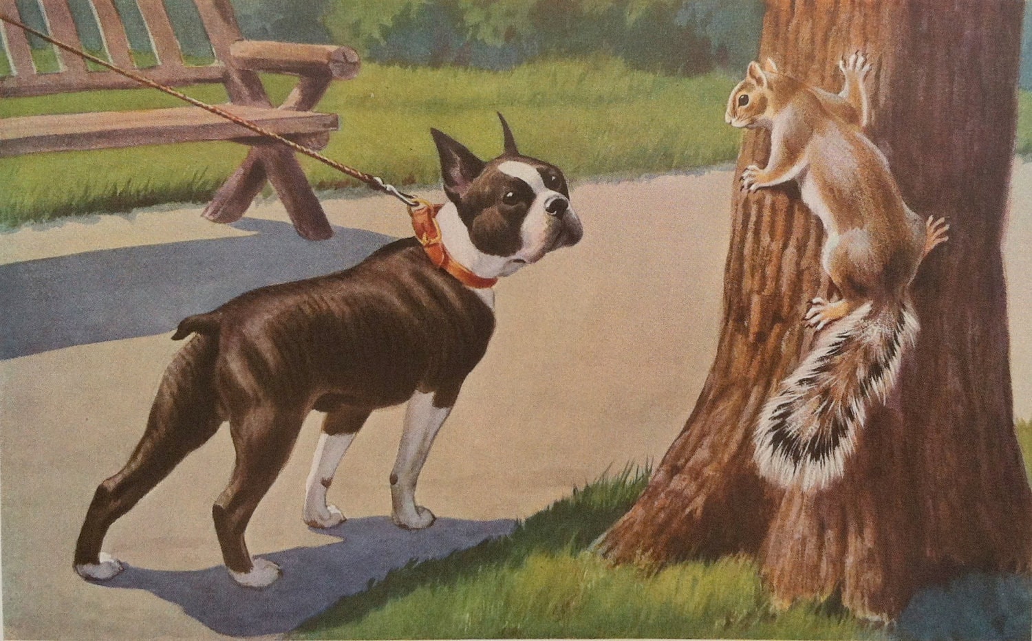 Vintage Boston Terrier Art