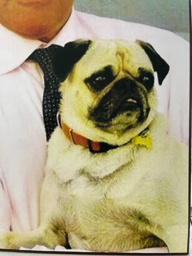 Robin Williams and Pug Decoupaged on Wood - Etsy