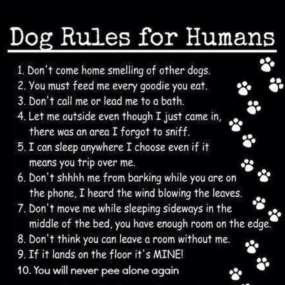 Dog Rules for Humans Decoupaged on Wood - Etsy