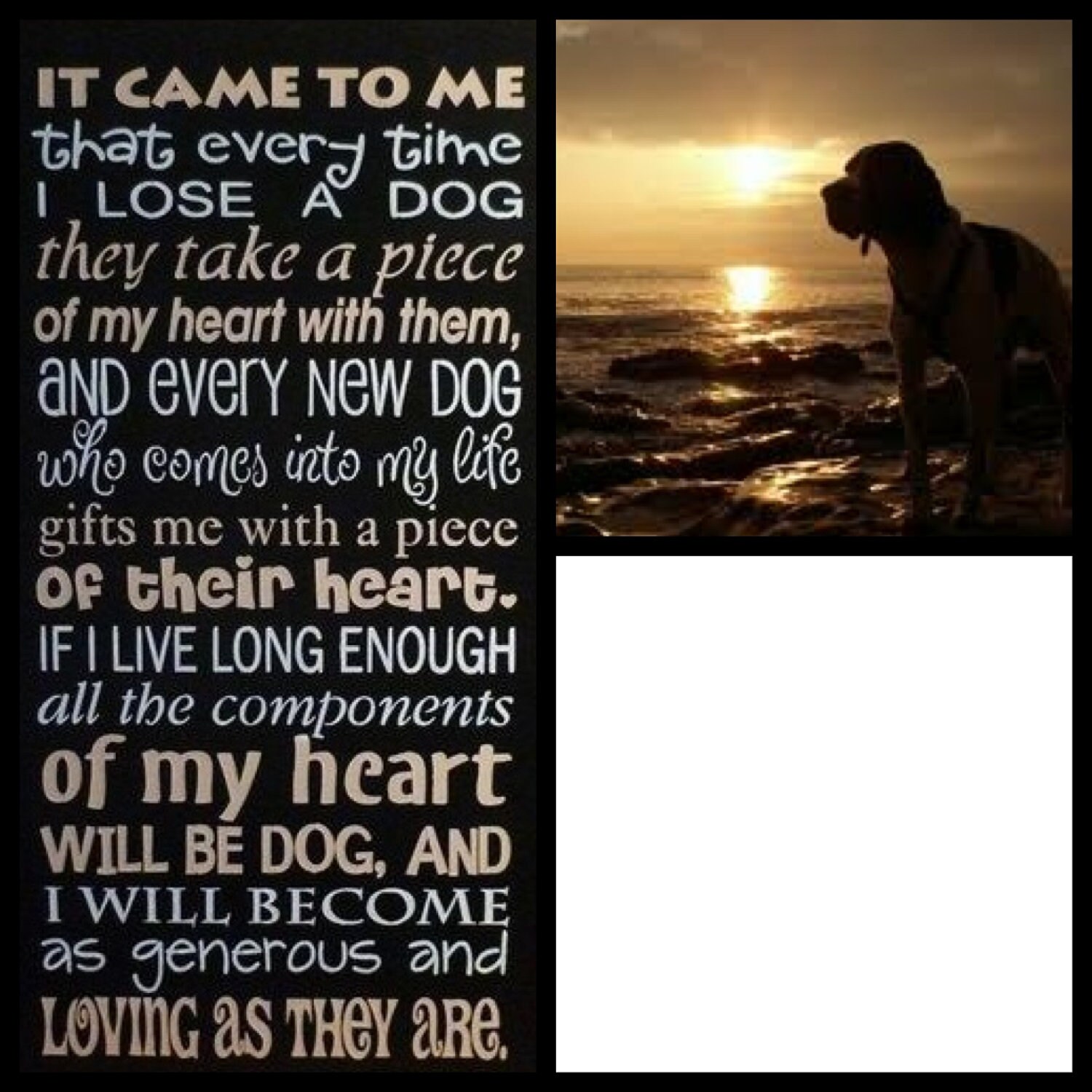 Pet Memorial Poem Personalized With Your Dog's Picture - Etsy
