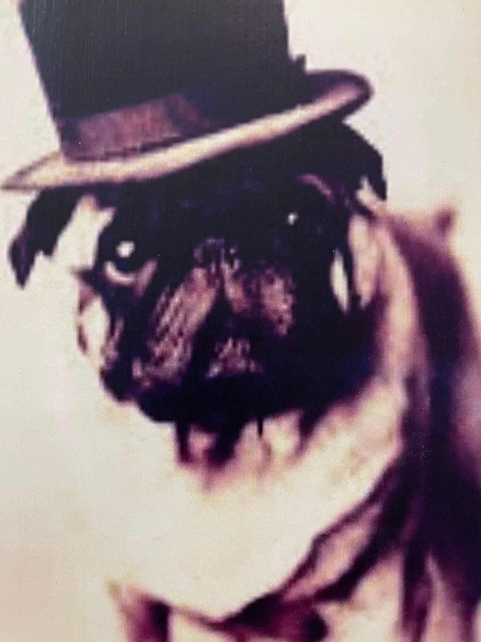 Pug Wearing Top Hat Print Decoupaged on Wood - Etsy